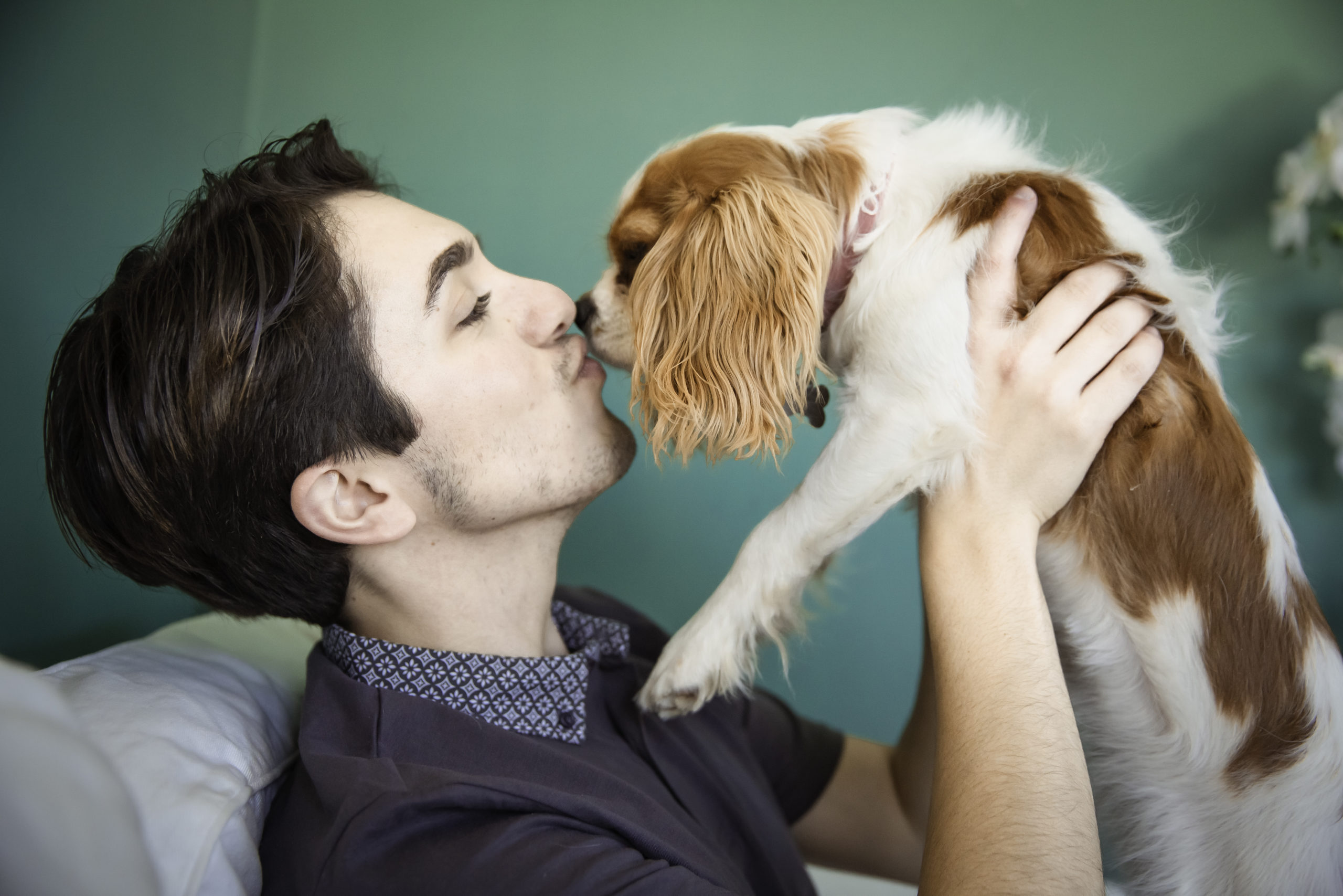 Hands N Paws | Dog Walking & Pet Sitting In Columbus Ohio